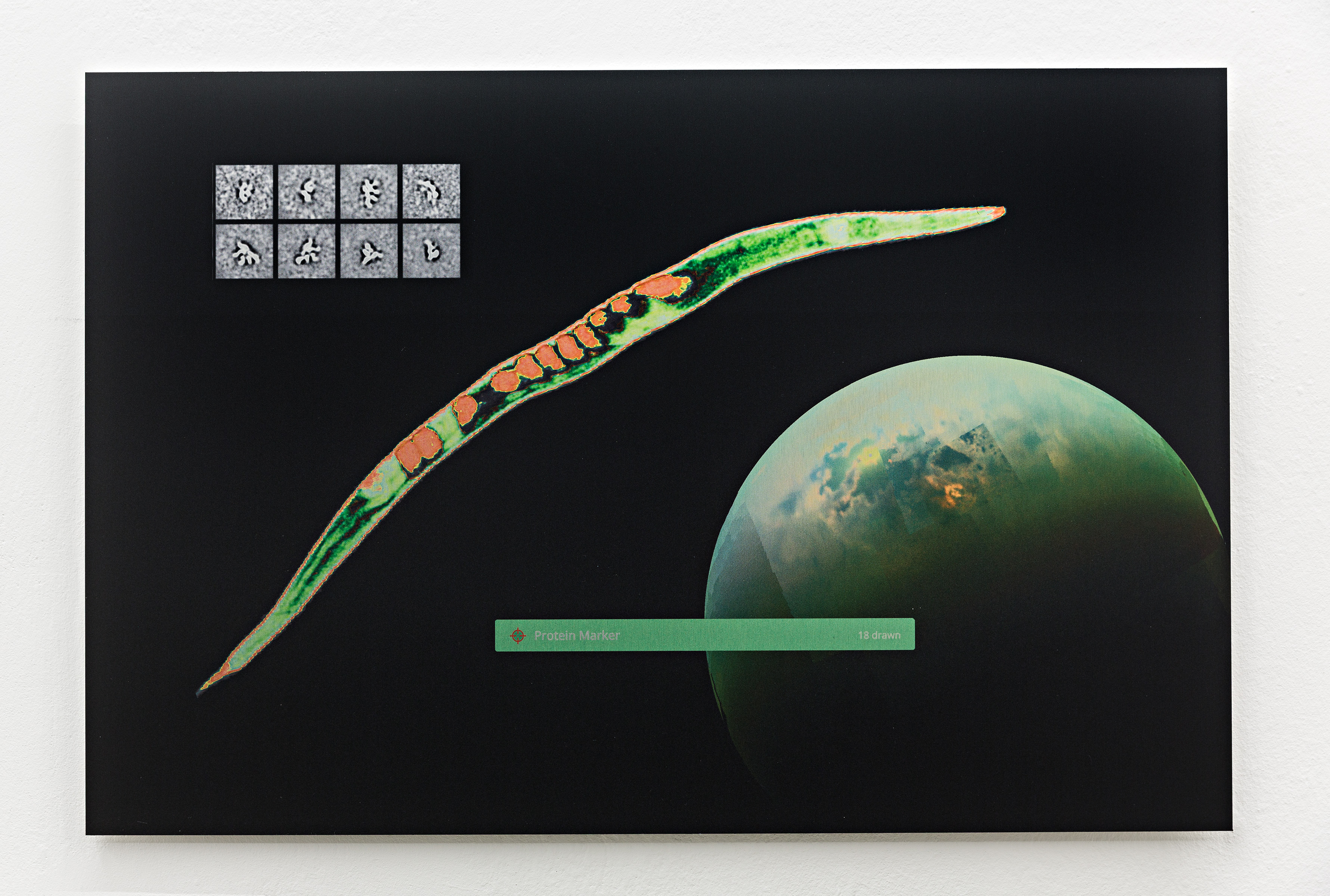 Mapping potential (Titan, protein marker), 2016 | ADKV ...