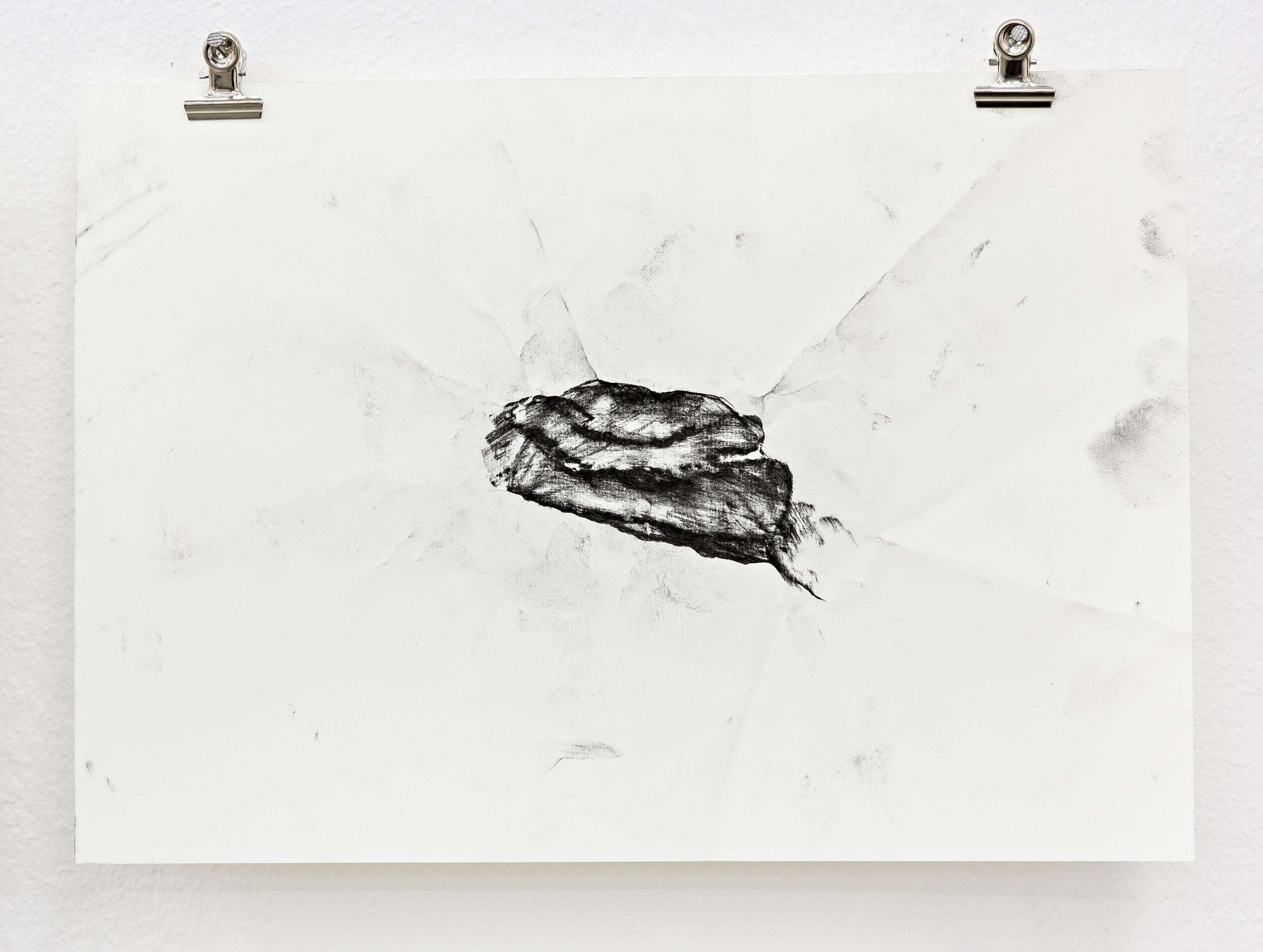 Basalt Shards | ADKV – Arbeitsgemeinschaft Deutscher Kunstvereine